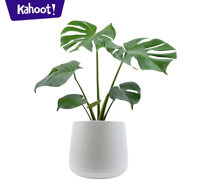 Even More About Plants - Kahoot! Quiz
