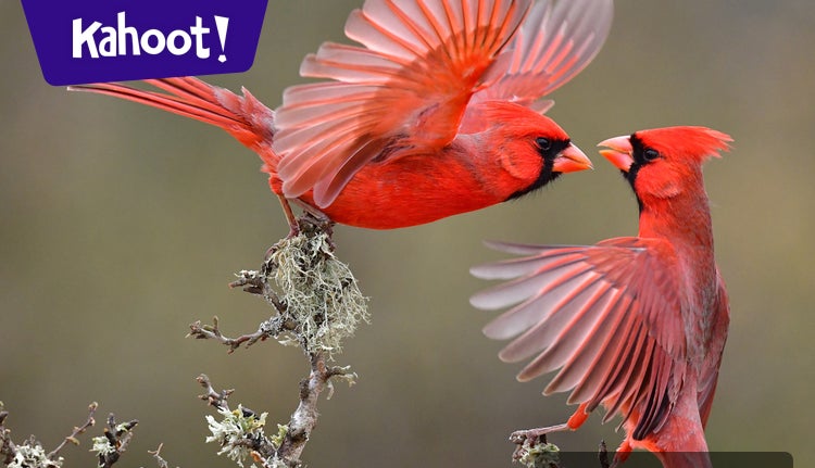 Fuzzy Mud [Ch. 21-30] - Kahoot! Quiz