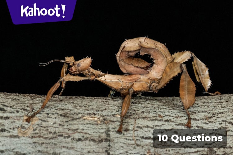 Asexual And Sexual Reproduction Kahoot Quiz