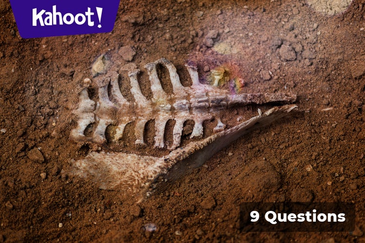 Earth History Review - Kahoot! Quiz