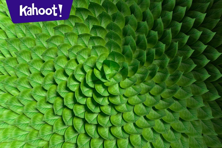 Chapter 4.2 - Climate Change Vocabulary - Kahoot! Quiz