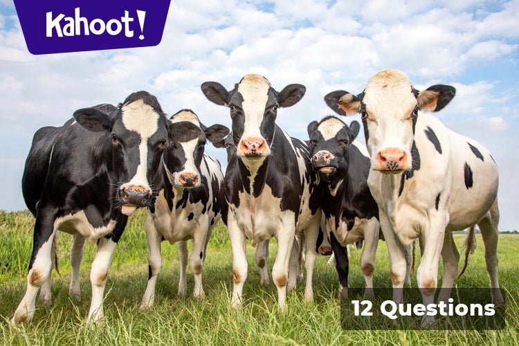 Earth's Energy Budget - Kahoot! Quiz