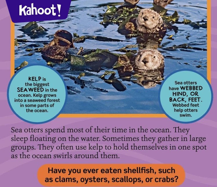 Big Book of the Ocean - Sea Otters 1.4 - Kahoot! Quiz