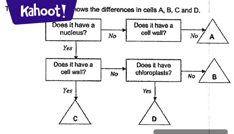 Primary 5 Science on Cells and Plant Transport System - Kahoot! Quiz