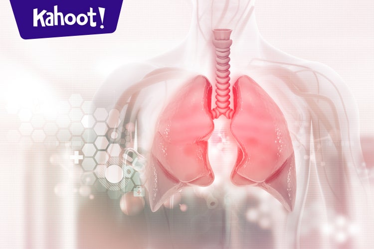 Respiratory system part 2- lungs - Kahoot! Quiz