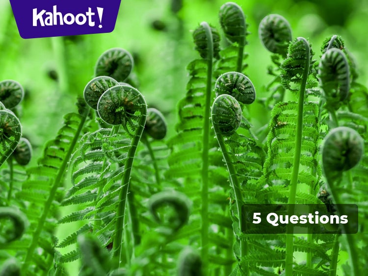 Nico's Guide to the Evolution of Plants - Kahoot! Quiz