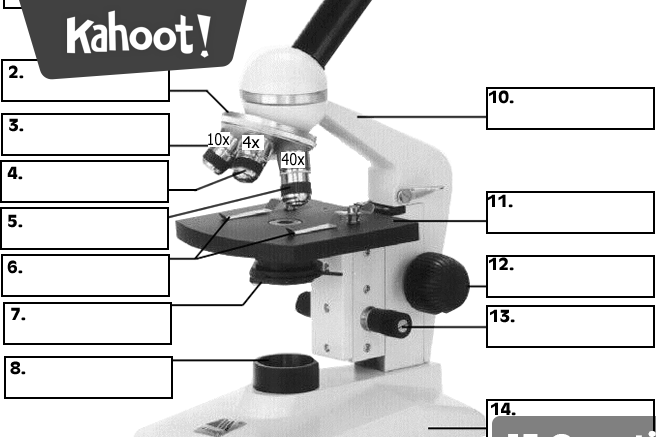 Y8 GSG Biol Microscopes - Kahoot! Quiz