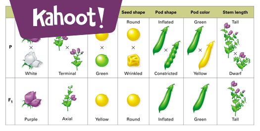 Mendelian Genetics - Kahoot! Quiz
