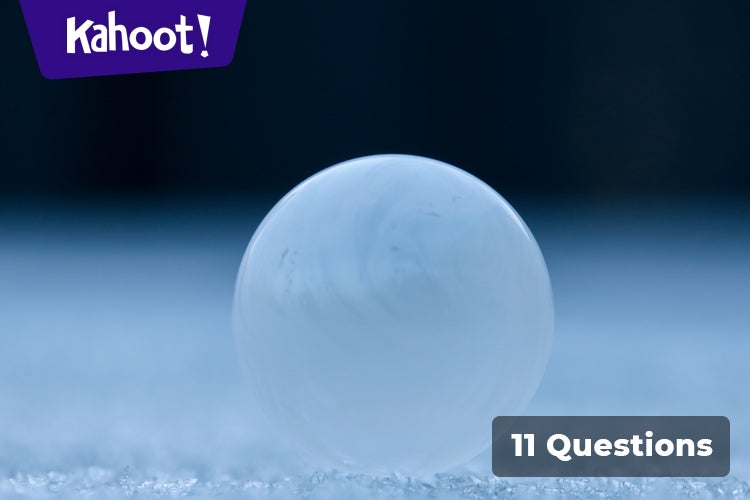 World’s Grumpiest Cat - Frozen Planet - Kahoot! Quiz