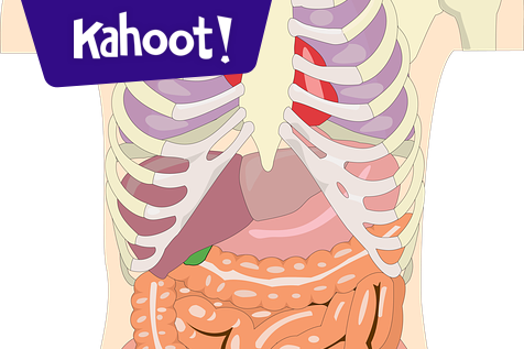 Organs of the body - Kahoot! Quiz