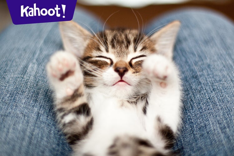 Baby Animals - Kahoot! Quiz