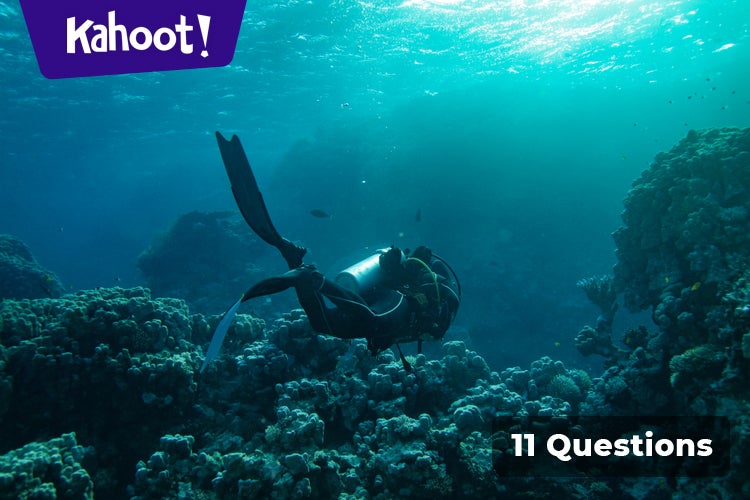 TV 2 Skole: Nick in Egypt - Kahoot! Quiz