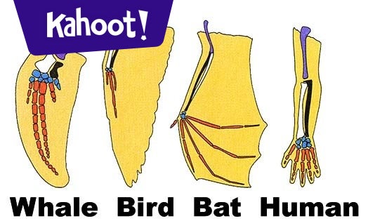 Chapter 16 Theories and Evidence of Evolution - Kahoot! Quiz