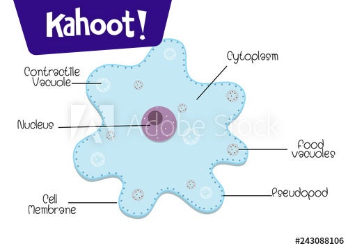 LS.2(a-c) Cell Theory and Cell Structure - Kahoot! Quiz