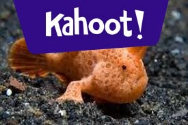 Ocean Kahoot - Kahoot! Quiz