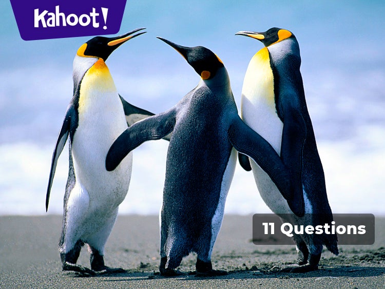 Communication skills - Kahoot! Quiz