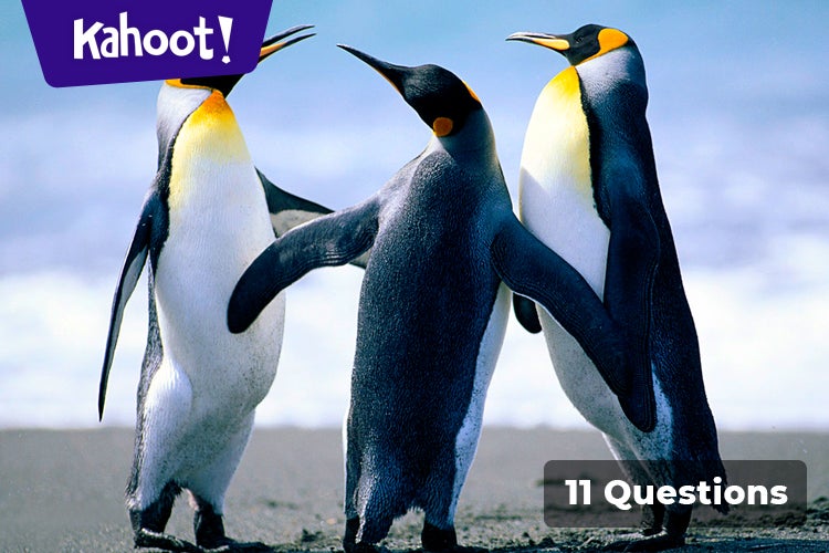 Communication skills - Kahoot! Quiz