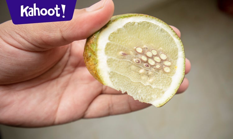 Chapter 8: Plant Reproduction - Kahoot! Quiz