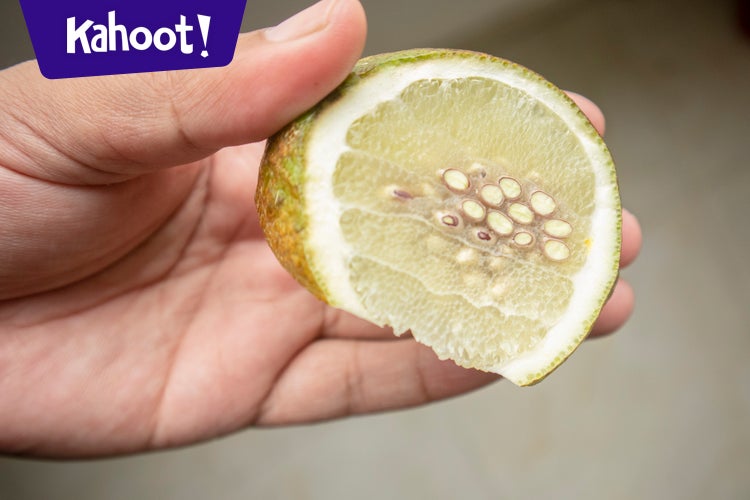 Chapter 8: Plant Reproduction - Kahoot! Quiz