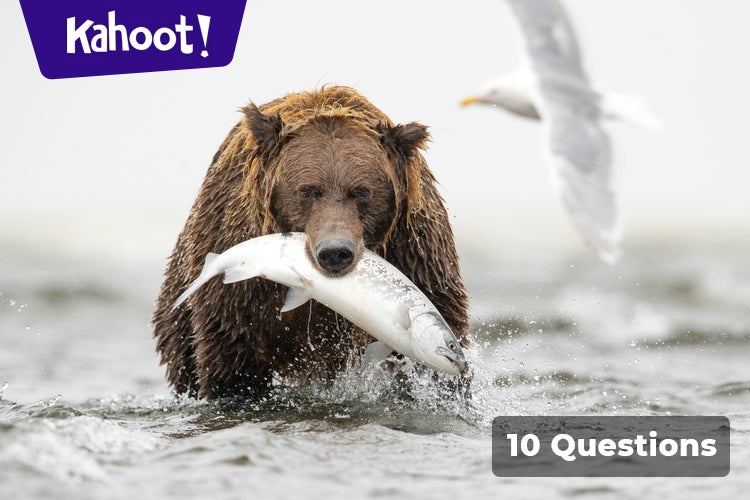 Basic Science - Pt 4 - Kahoot! Quiz