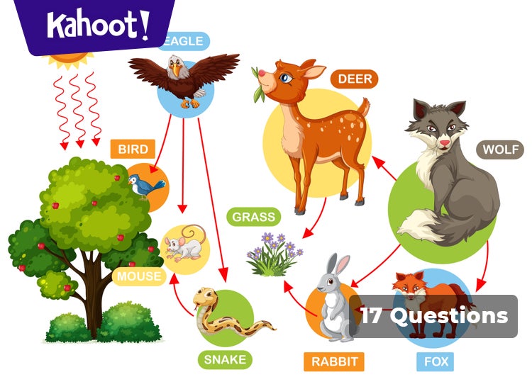 Ecosystem Dynamics Review - Kahoot! Quiz