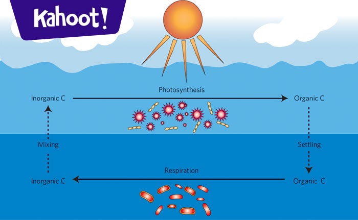Marine Photosynthesis and Our Oceans - Kahoot! Quiz