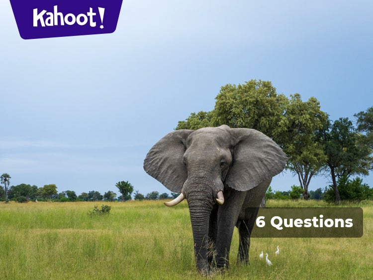 English Language Animals - Kahoot! Quiz