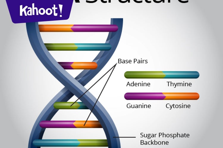 Pace High DNA Replication/Transcription/Translation - Kahoot! Quiz