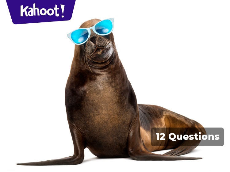 Kasus, Numerus, Genus: Welche Bestimmung ist vollständig richtig ...