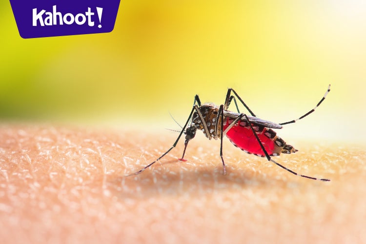 VT2402: Blood Cell Inclusions, Parasites & Artifacts - Kahoot! Quiz