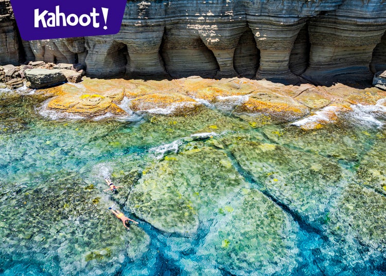 Ecology and Marine Life Quiz - Kahoot! Quiz