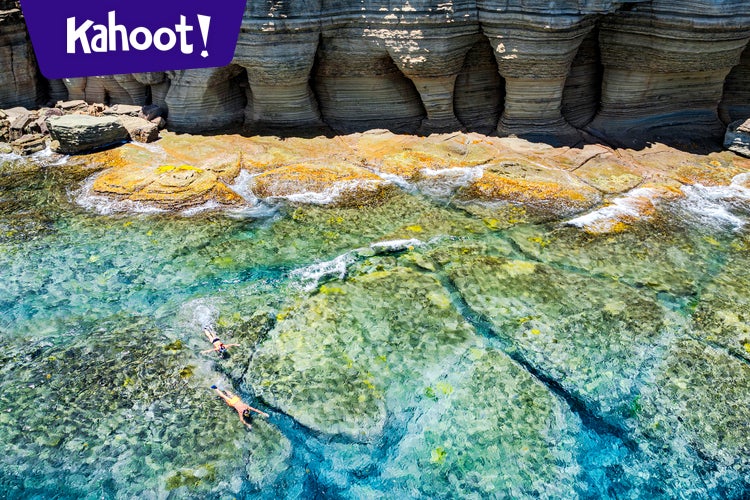 Ecology and Marine Life Quiz - Kahoot! Quiz