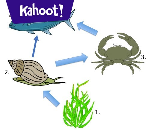 4.7 Ocean Unit Review - Kahoot! Quiz