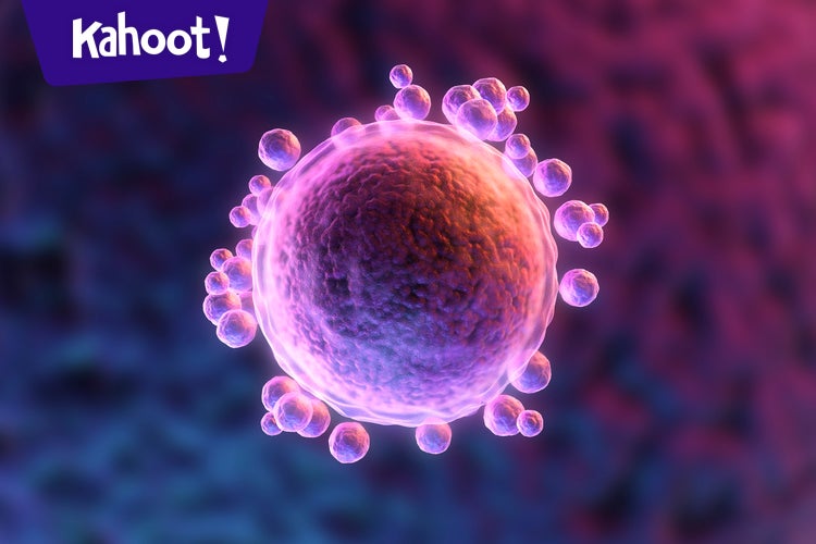Radiation Protection Module 3 Review - Kahoot! Quiz