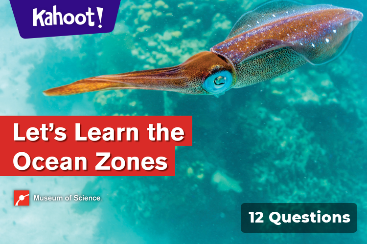Let's Learn the Ocean Zones! - Kahoot! Quiz