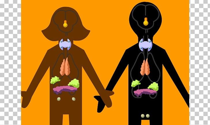 The Endocrine System Quiz - Kahoot! Quiz