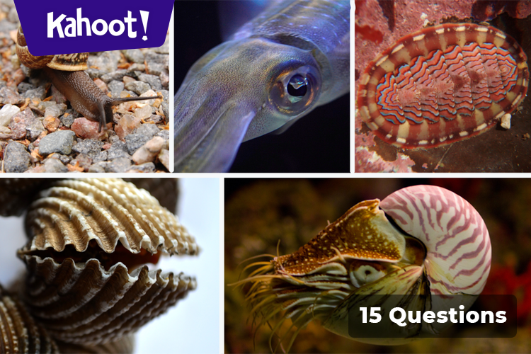 Life Science: Mollusks - Kahoot! Quiz