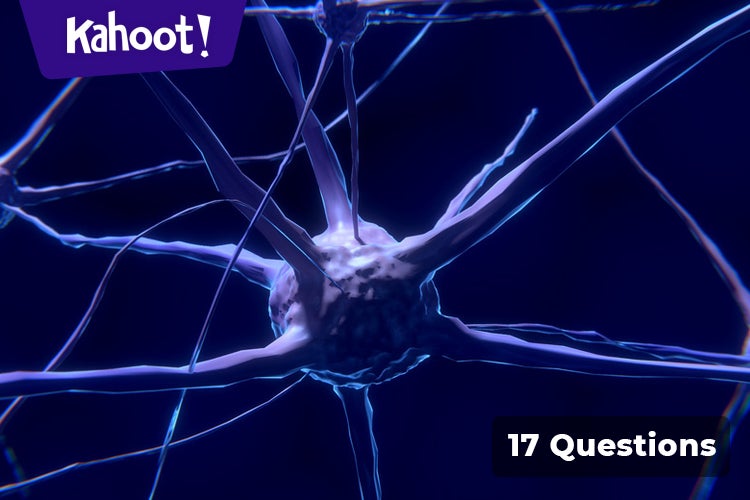 The Nervous System and Homeostasis - Kahoot! Quiz
