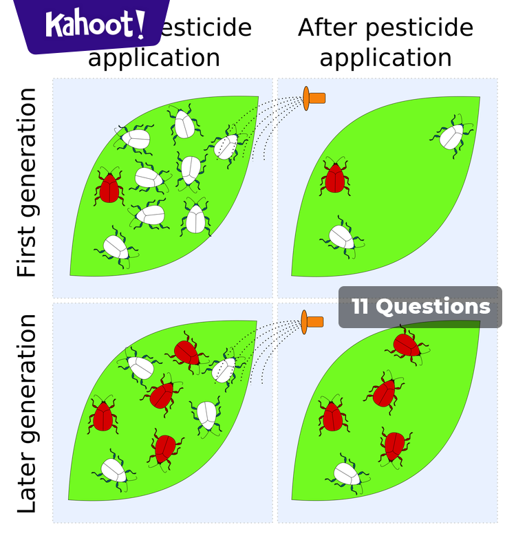 Ch 10 review p.1 - Kahoot! Quiz