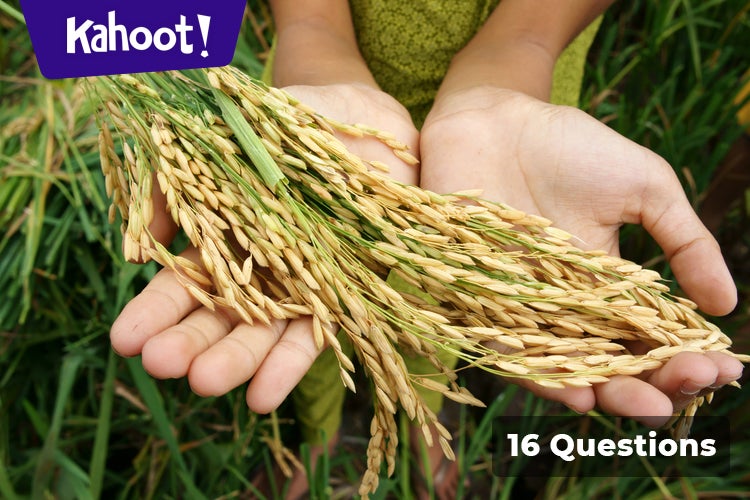 16.1. The global demand and supply of food GCSE Geography AQA - Kahoot ...