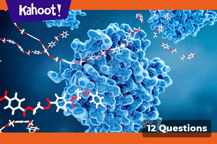 Organic molecules: enzymes - Kahoot! Quiz