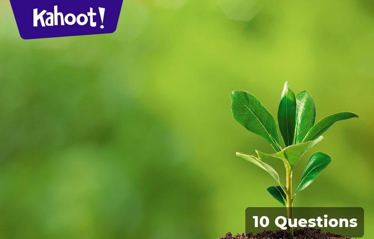 The Plant Kingdom - Kahoot! Quiz