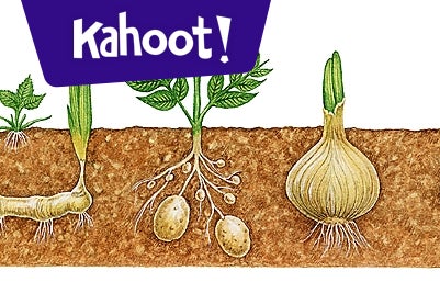 Reproduction des plantes - Kahoot! Quiz