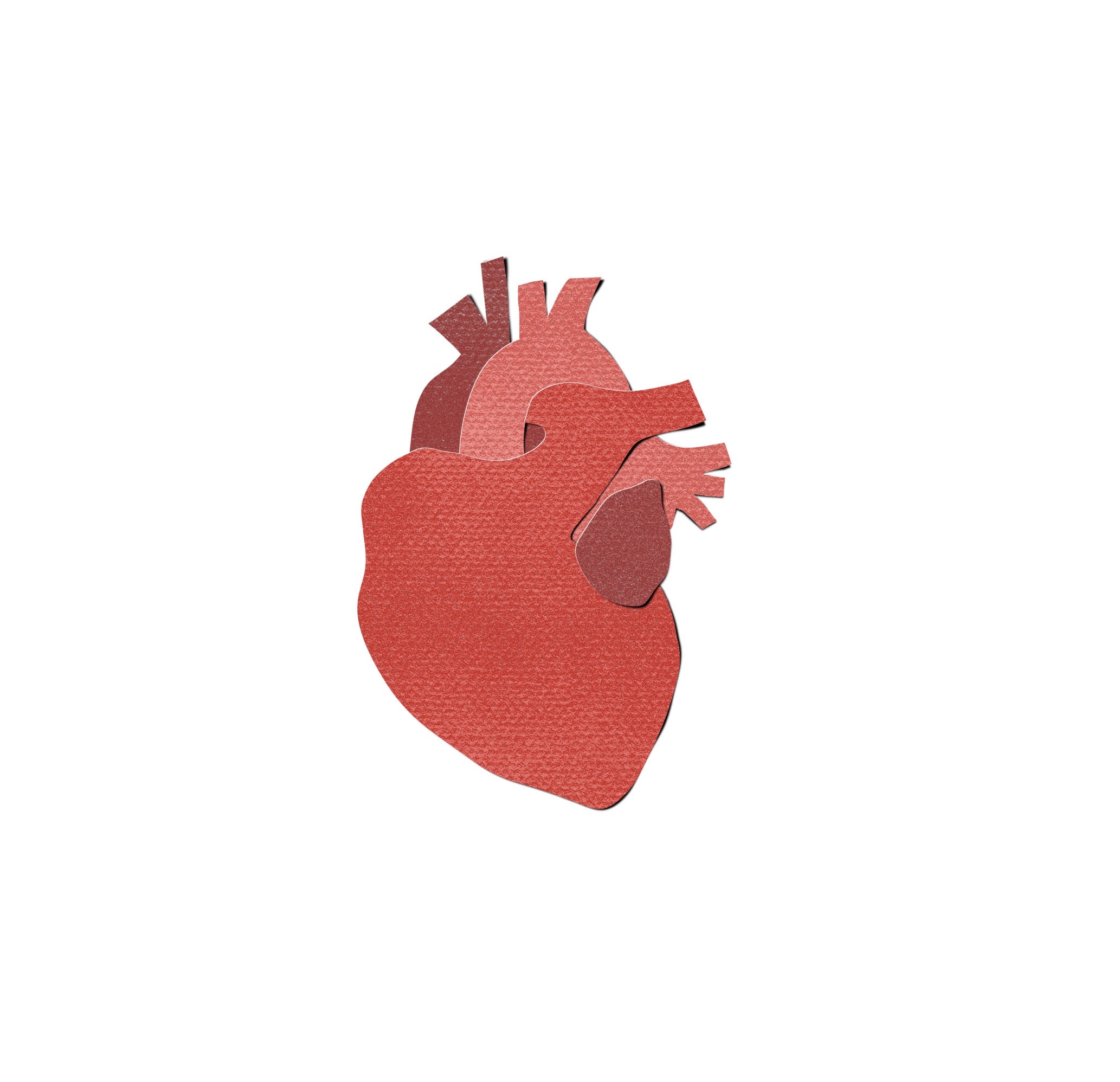 2.3. The Heart GCSE Biology AQA - Kahoot! Quiz