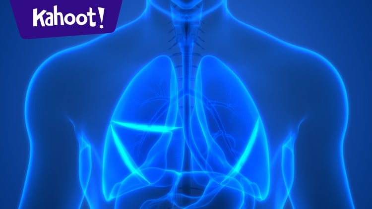Respiratory system 02\02 - Kahoot! Quiz
