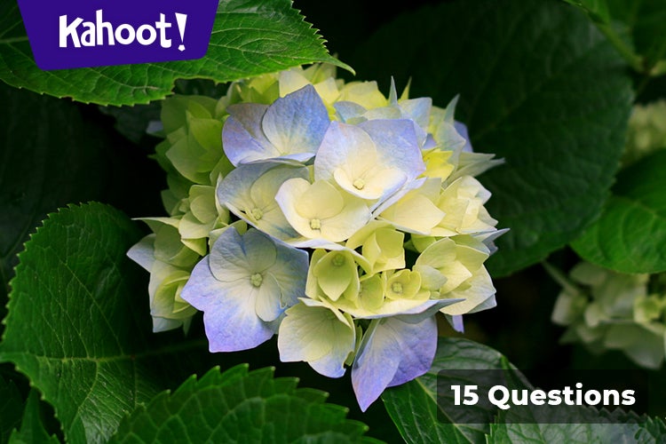 Duplicate of Plant Adaptation - Kahoot! Quiz
