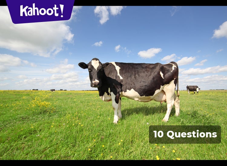 farm animals - Kahoot! Quiz