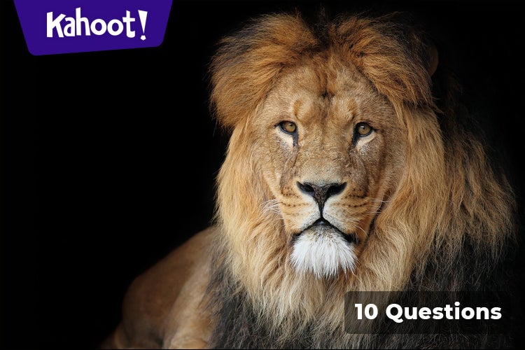 Korean(Animal-2) - Kahoot! Quiz