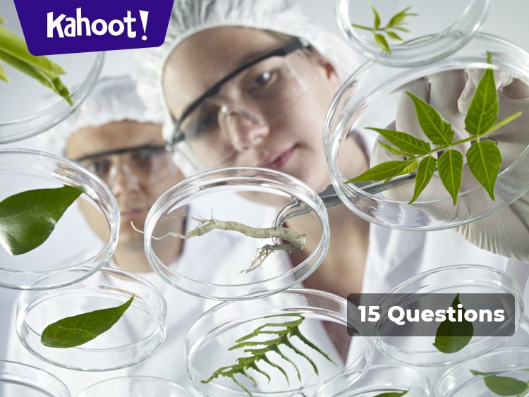 Duplicate of Plants, Plants, Plants - Kahoot! Quiz