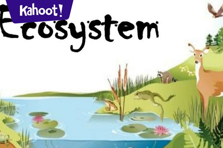 Duplicate of National 5 Biology 3.1 Ecosystems - Kahoot! Quiz